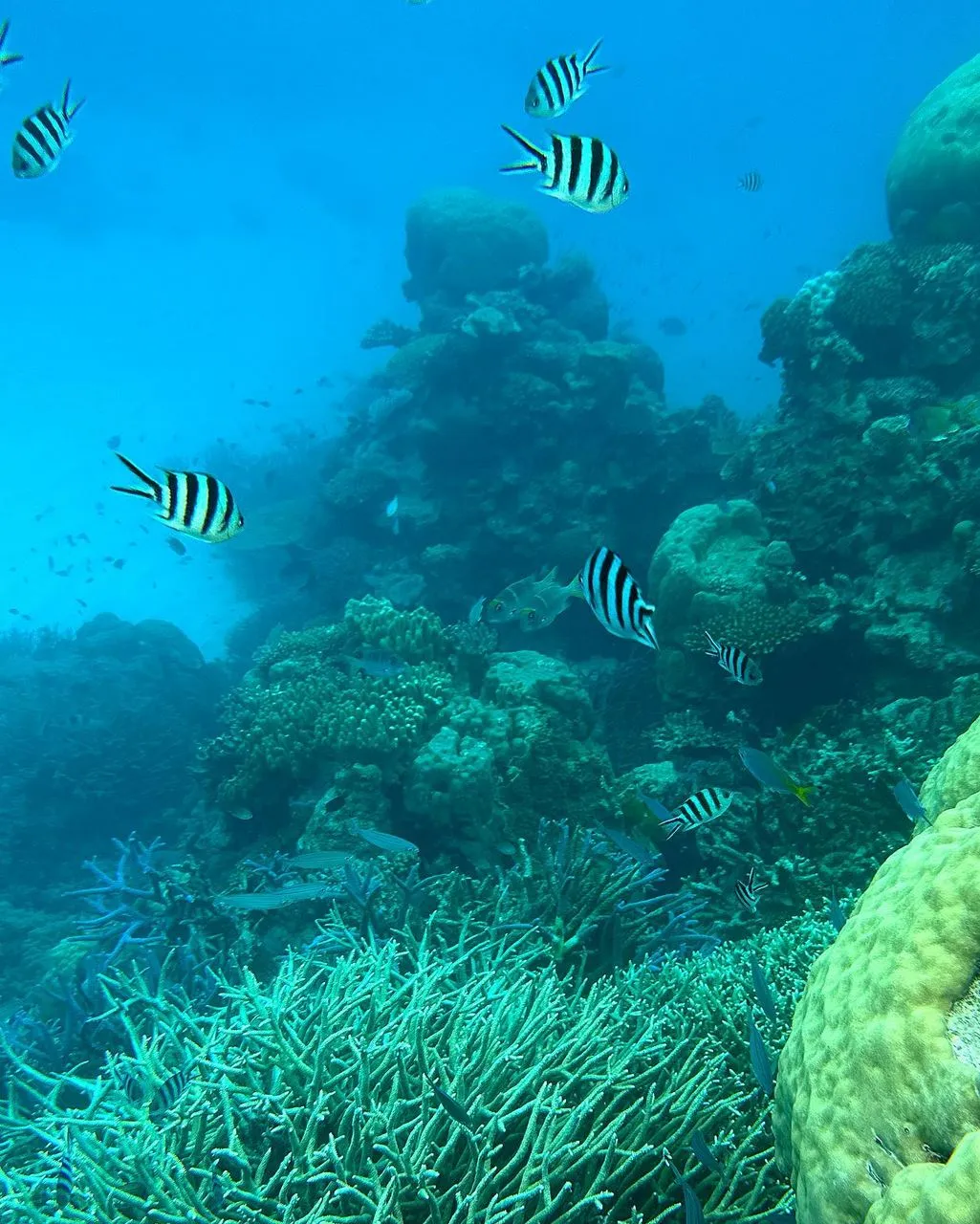 Why You Should Go To The Great Barrier Reef In The Rain?